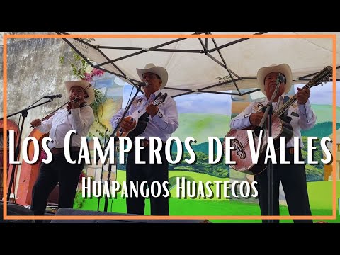 52 Min de Huapangos Huastecos con Los Camperos de Valles