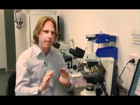 DR. PATRICK SHEARER.mp4 - YouTube