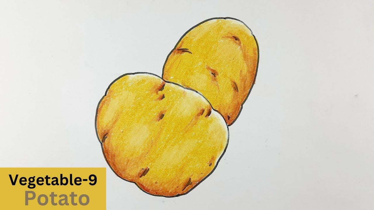 potato/ How to draw potato/ easy vegetable drawing tutorial painting ...