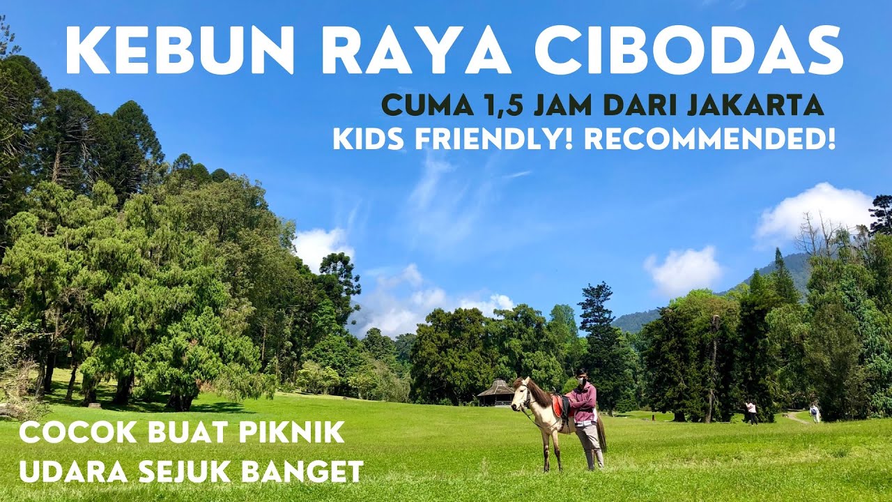 Kebun Raya Cibodas Tempat Piknik Seru! Udara Sejuk dan Bersih - YouTube