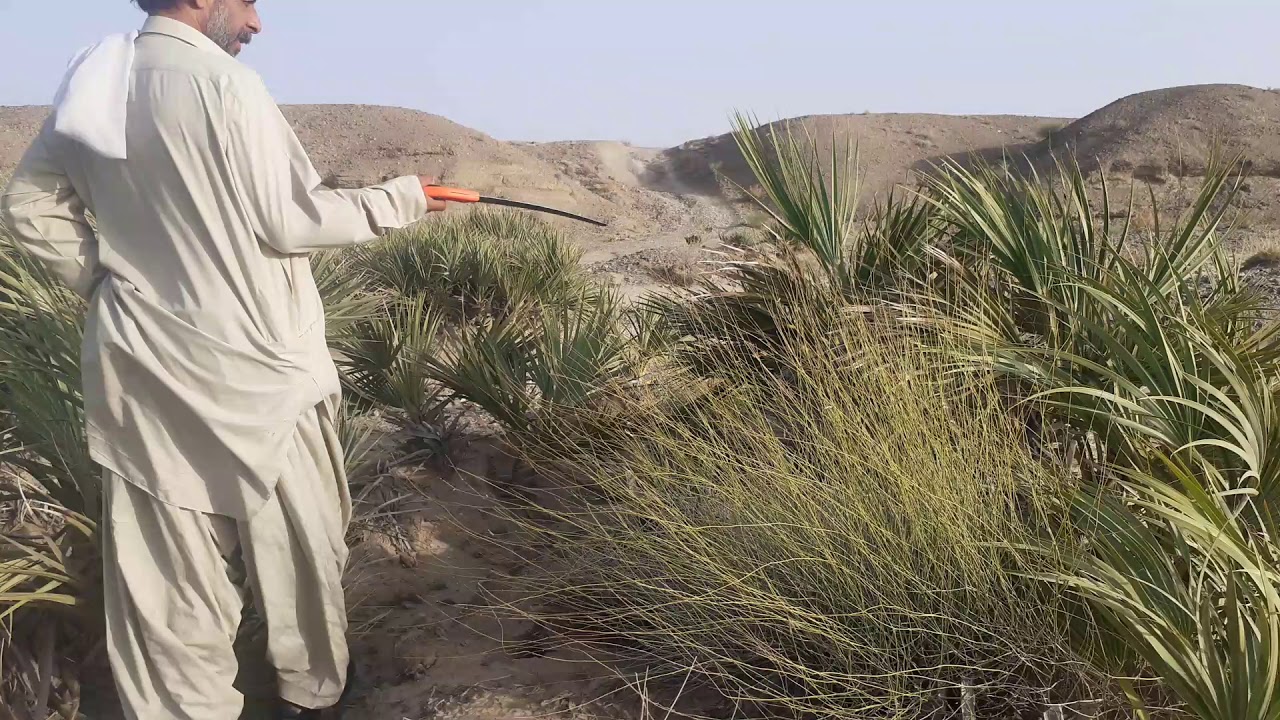 Panjgur 2018 picnic with your friend - YouTube