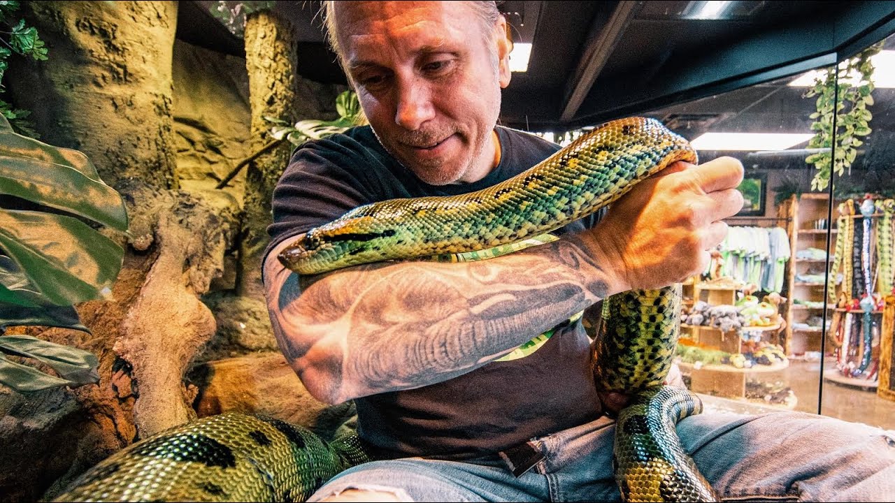 HUGE ANACONDA LOVES ME!! PROOF!! | BRIAN BARCZYK - YouTube