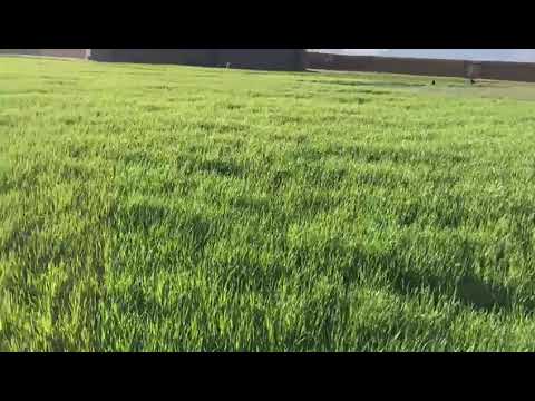 Zurmatai in Zurmat Afg - YouTube