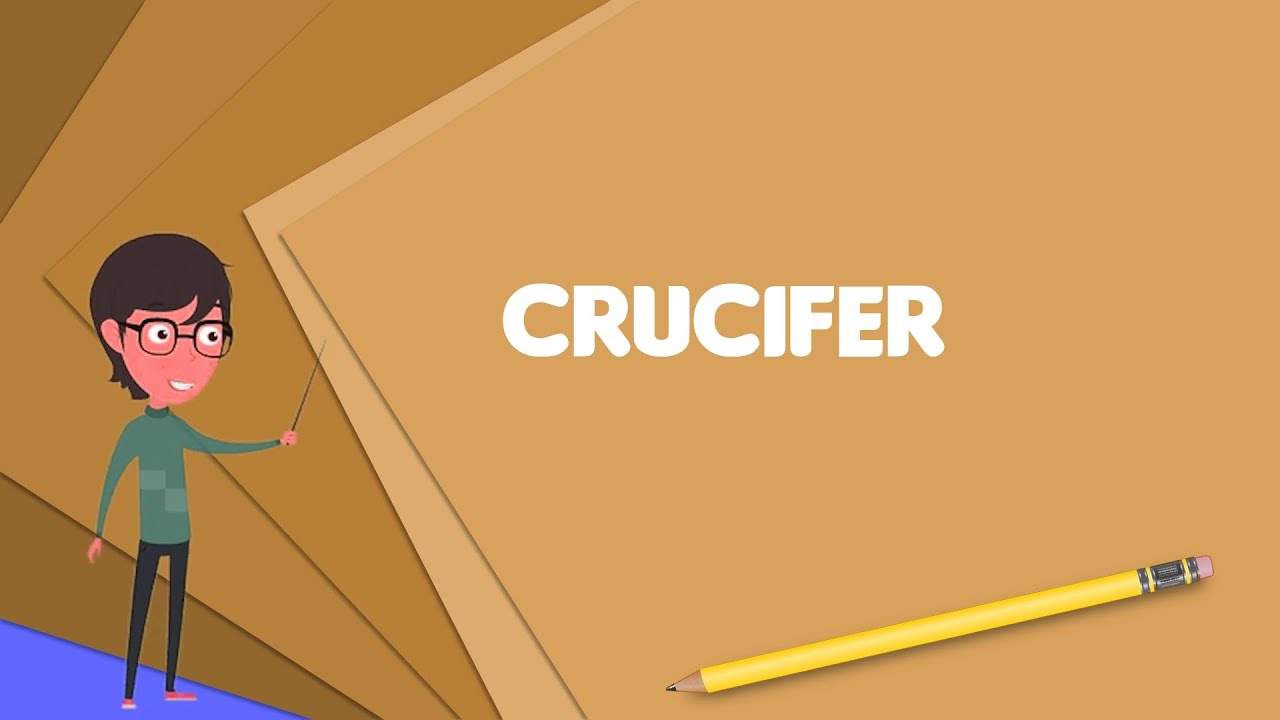 What is Crucifer? Explain Crucifer, Define Crucifer, Meaning of ...