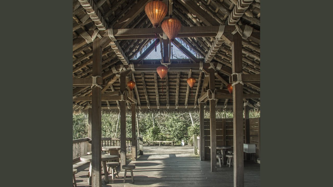 Sunrise Koto - YouTube