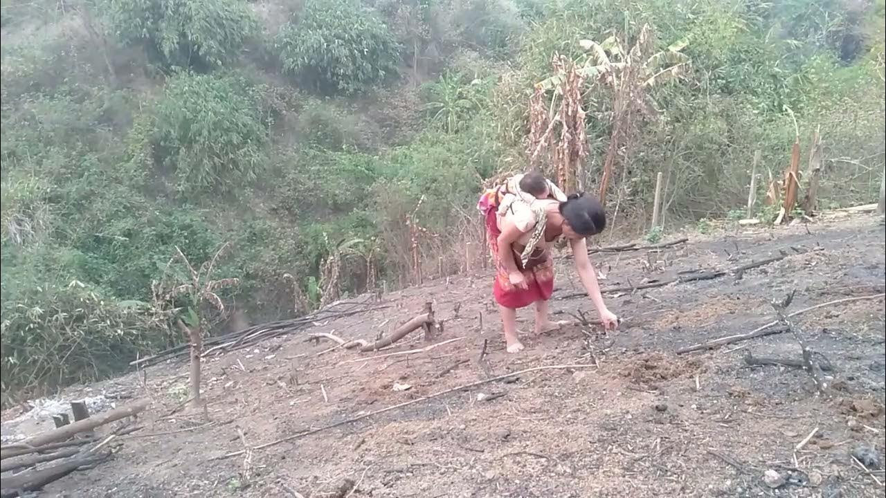 Mus Cog pob kws - YouTube