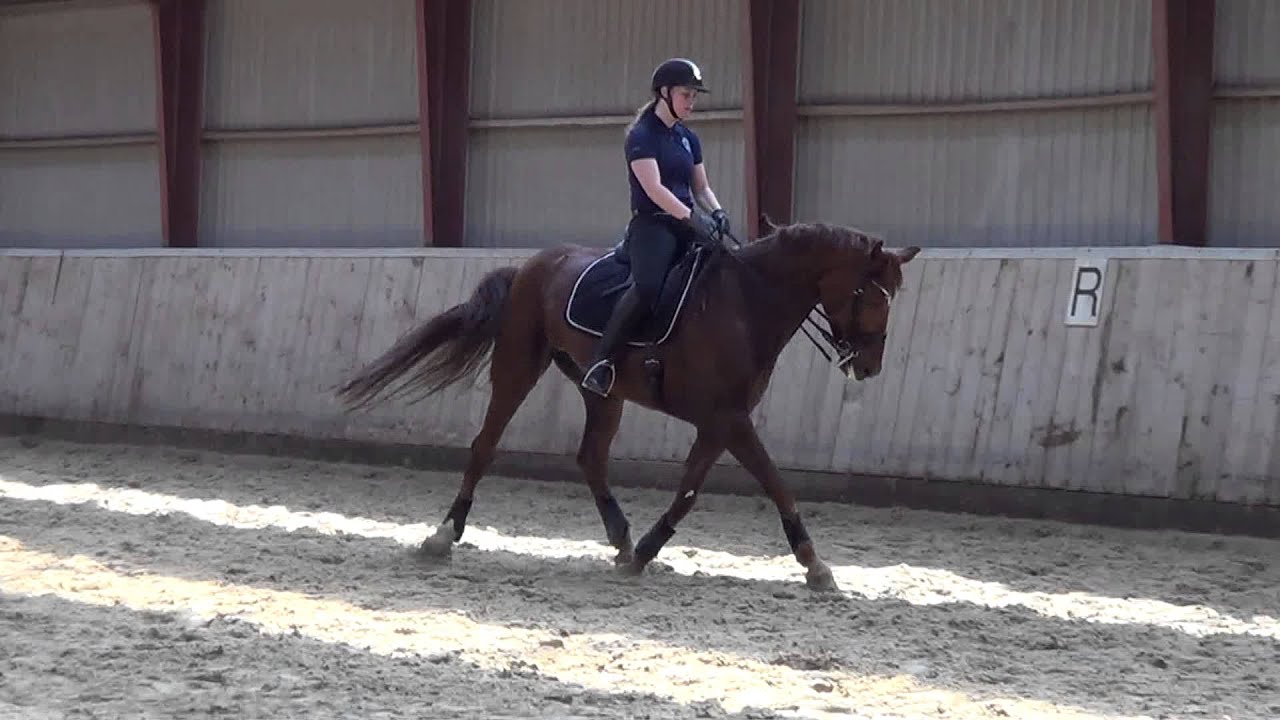 Gørklintgårds Donna Sia og Josephine Knudsen - Dressurkursus hos Jørgen ...
