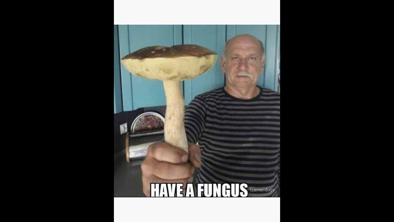 have a fungus :) - YouTube