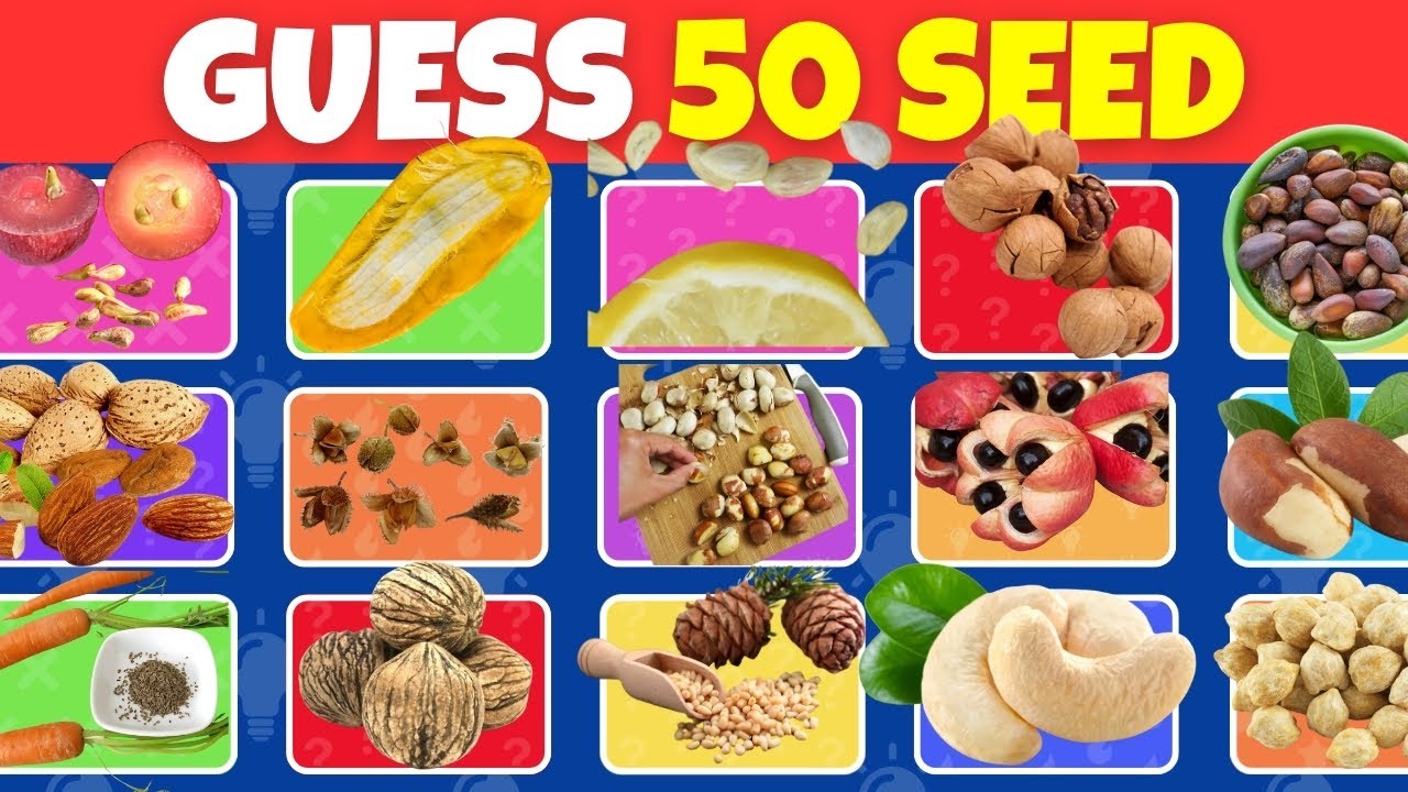 Quiz: Can You Guess The Seeds Name| 50 Seed Quiz| Easy, Medium, Hard ...