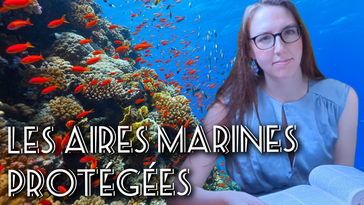 Les aires marines protégées (AMP) - droit de la mer - YouTube