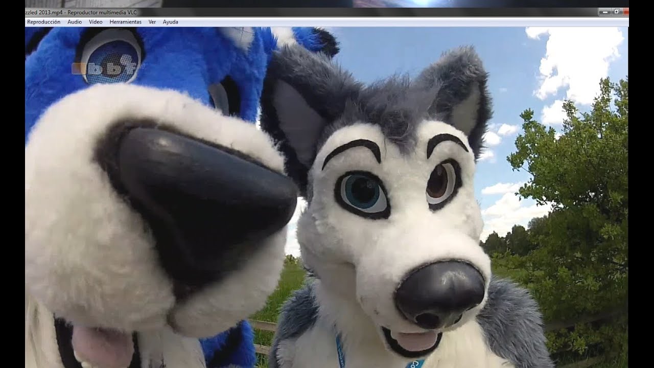 Confuzzled 2013 - YouTube