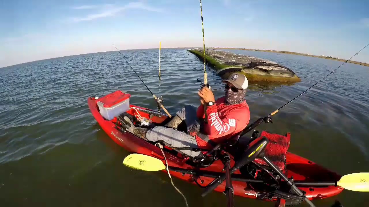 Speckled Trout and Redfish on Live Finger Mullet (Galveston Texas Kayak ...