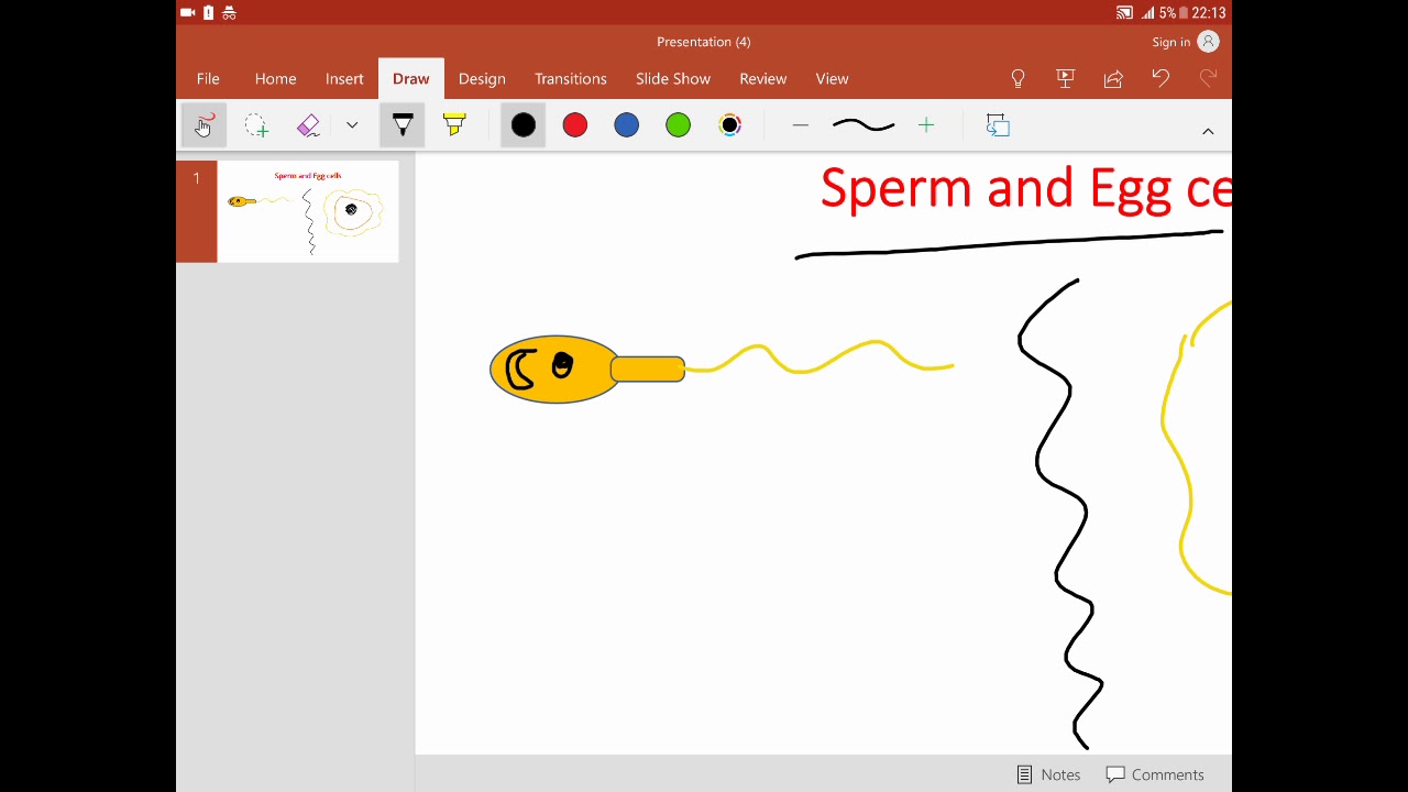 Difference between SPERM AND EGG CELL. (1 IGCSE QS GIVEN AS A BONUS ...