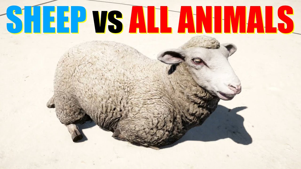 Far Cry 5 Arcade - Animal Fight: Sheep vs All Animals Battles - YouTube