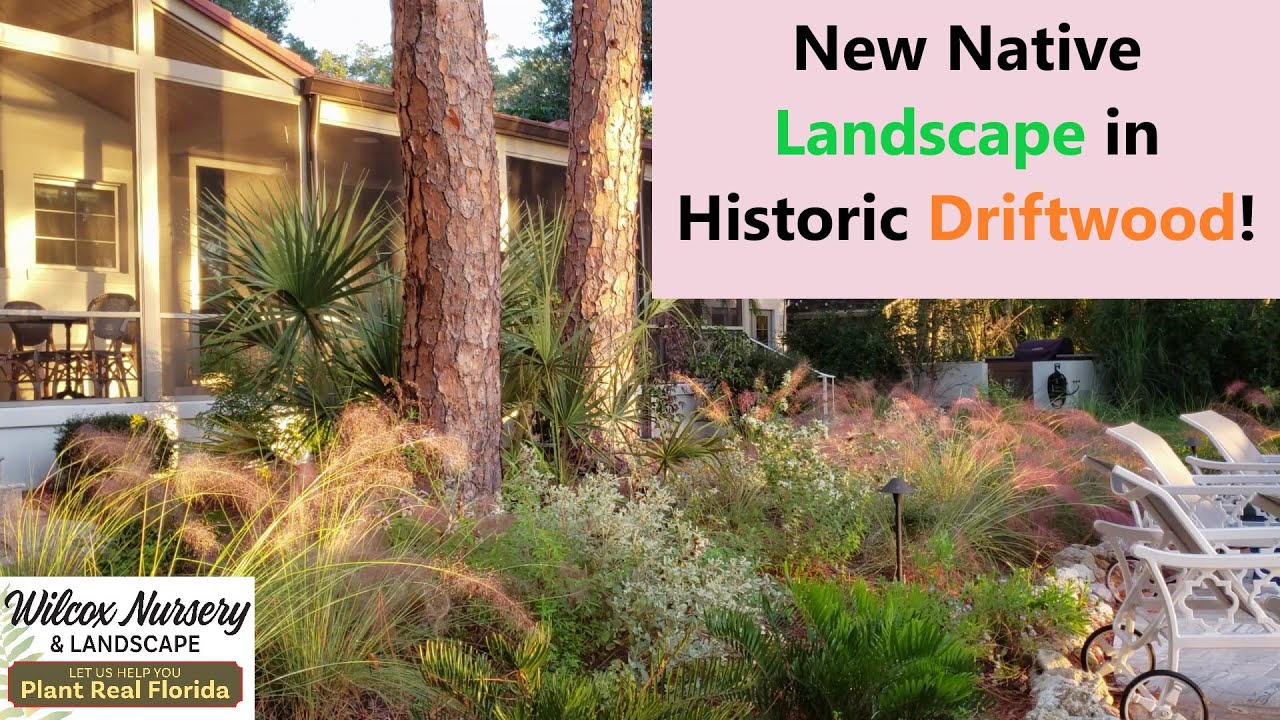 Landscape Tour: Native Landscape in Historic Driftwood! - YouTube