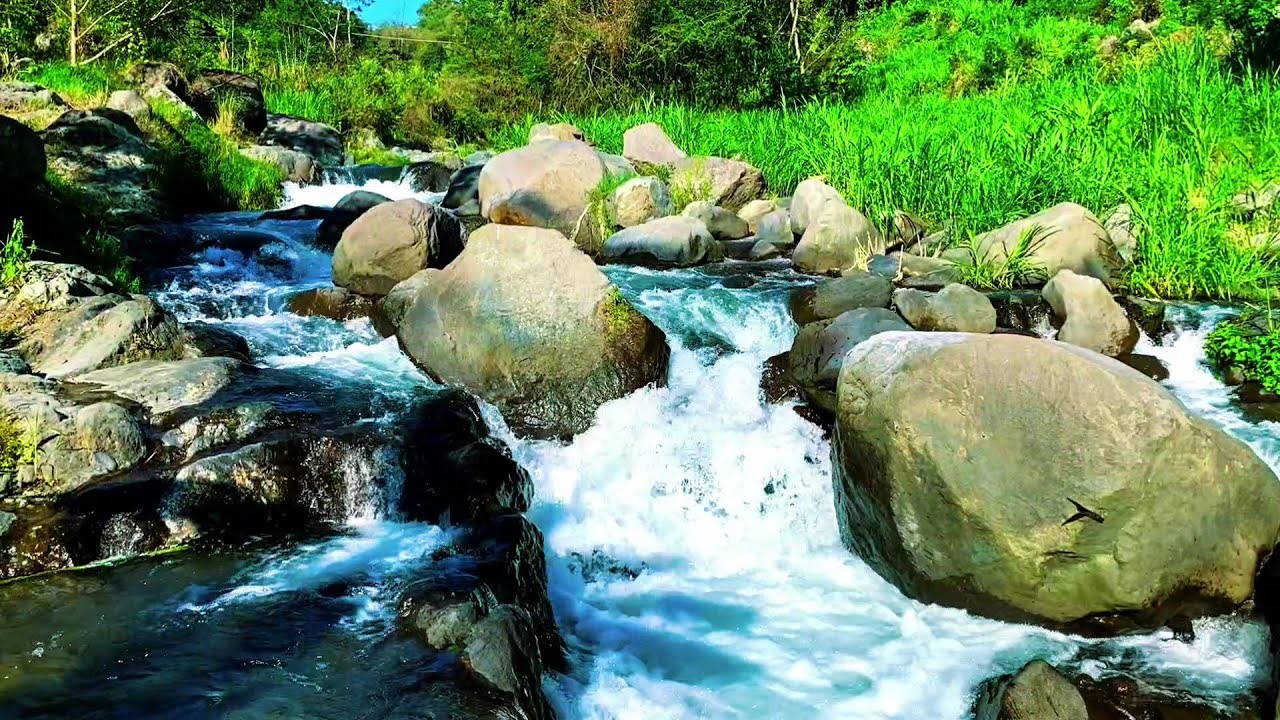 Relaxing Mountain Stream Sounds, Forest river Sounds for deep sleep ...