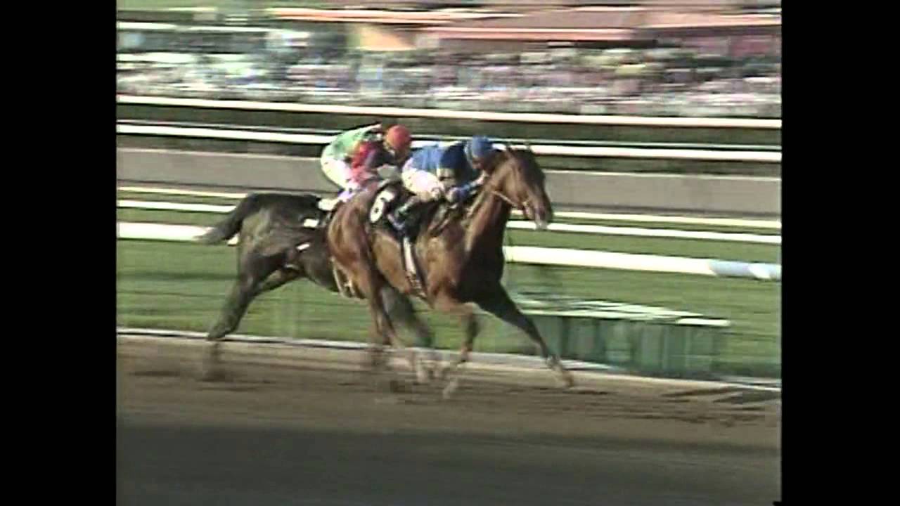 MISTER FRISKY - SAN VICENTE 1990 - YouTube