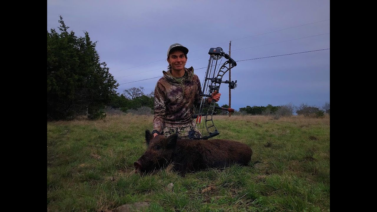 Hill Country Sow with the Prime Logic CT5: 2-8-19 - YouTube