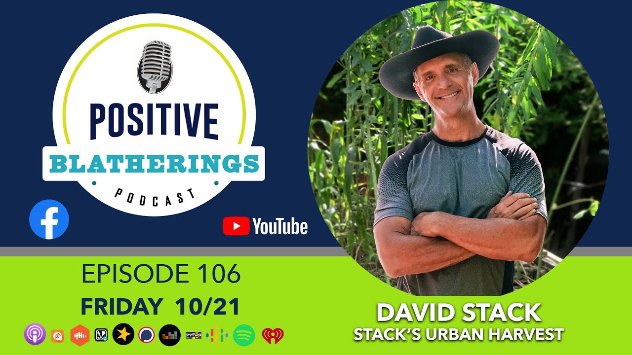 Growing Out of Your Comfort Zone with David Stack - YouTube