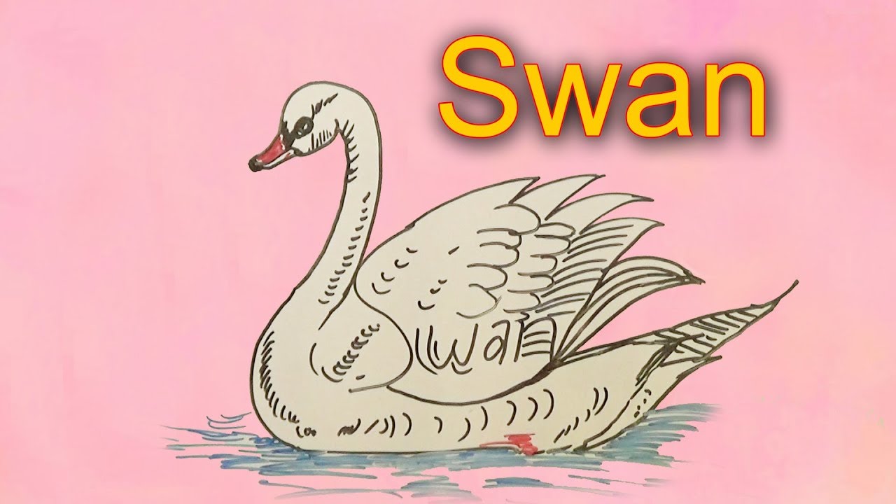 VERY EASY !, How to turn Word Swan Into Swan Cartoon for Kids ...