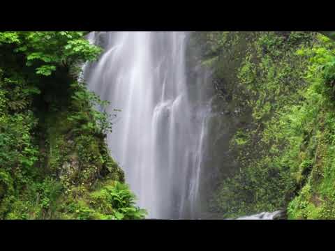Musique Douce: Relaxante, Calme - Nature Relaxation (plus de 3h en tout)