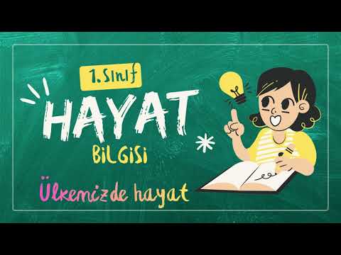 🌍 ÜLKEMİZDE HAYAT – KONU ÖZETİ (1. SINIF) / RAPÖĞRETMEN