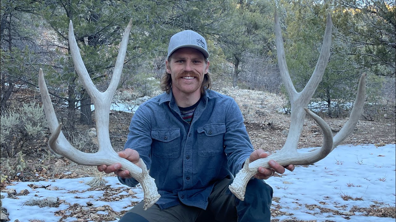 Finding and scoring a GIANT TYPICAL mule deer buck 2021 - YouTube