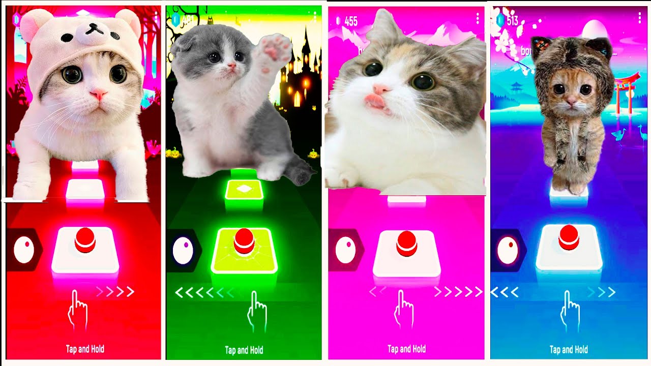 CUTE CATS | K-POP-JENNIE "SOLO"-BLACKPINK "Kill This Love -"DDU-DU ...