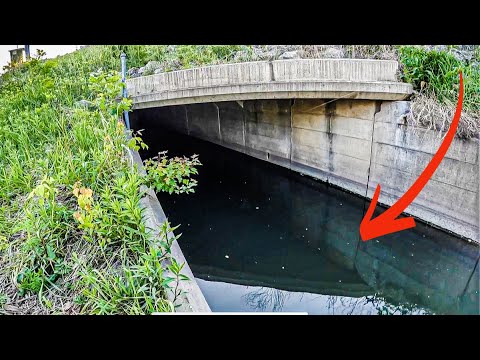 this Poop drain Was full of Fish! (unexpected catch) - YouTube