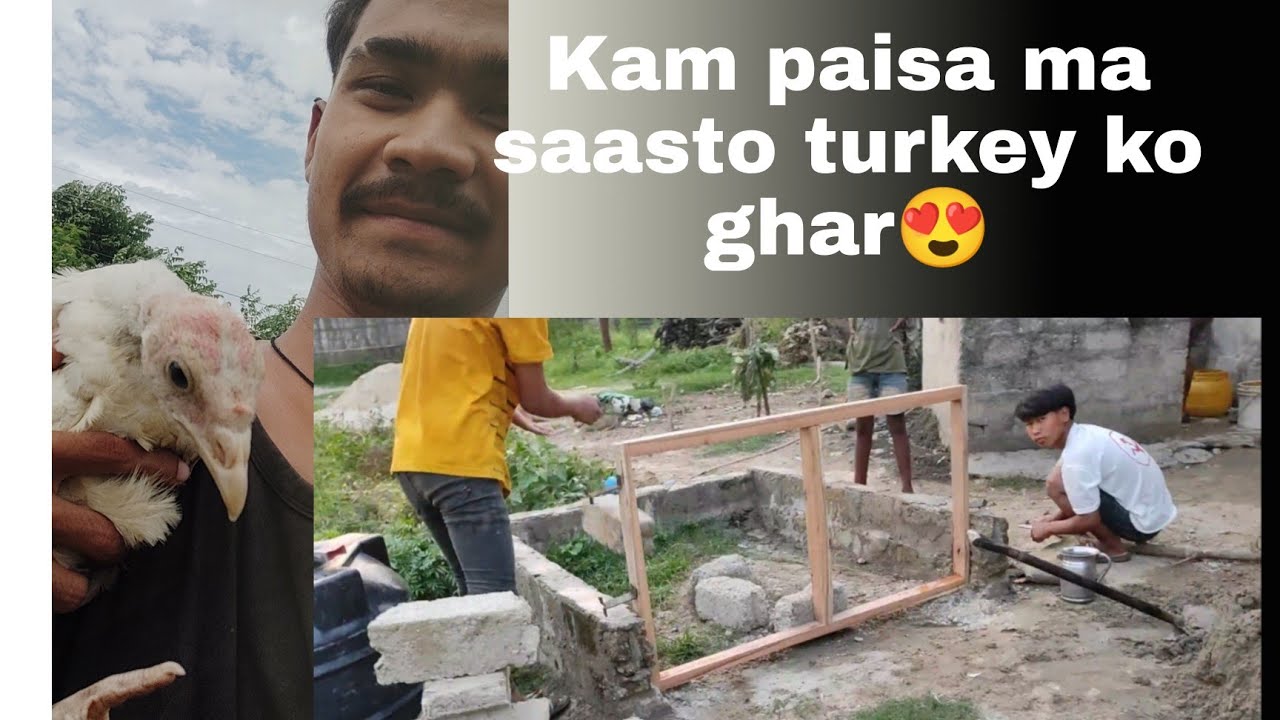 built small turkey coop 😍 - YouTube