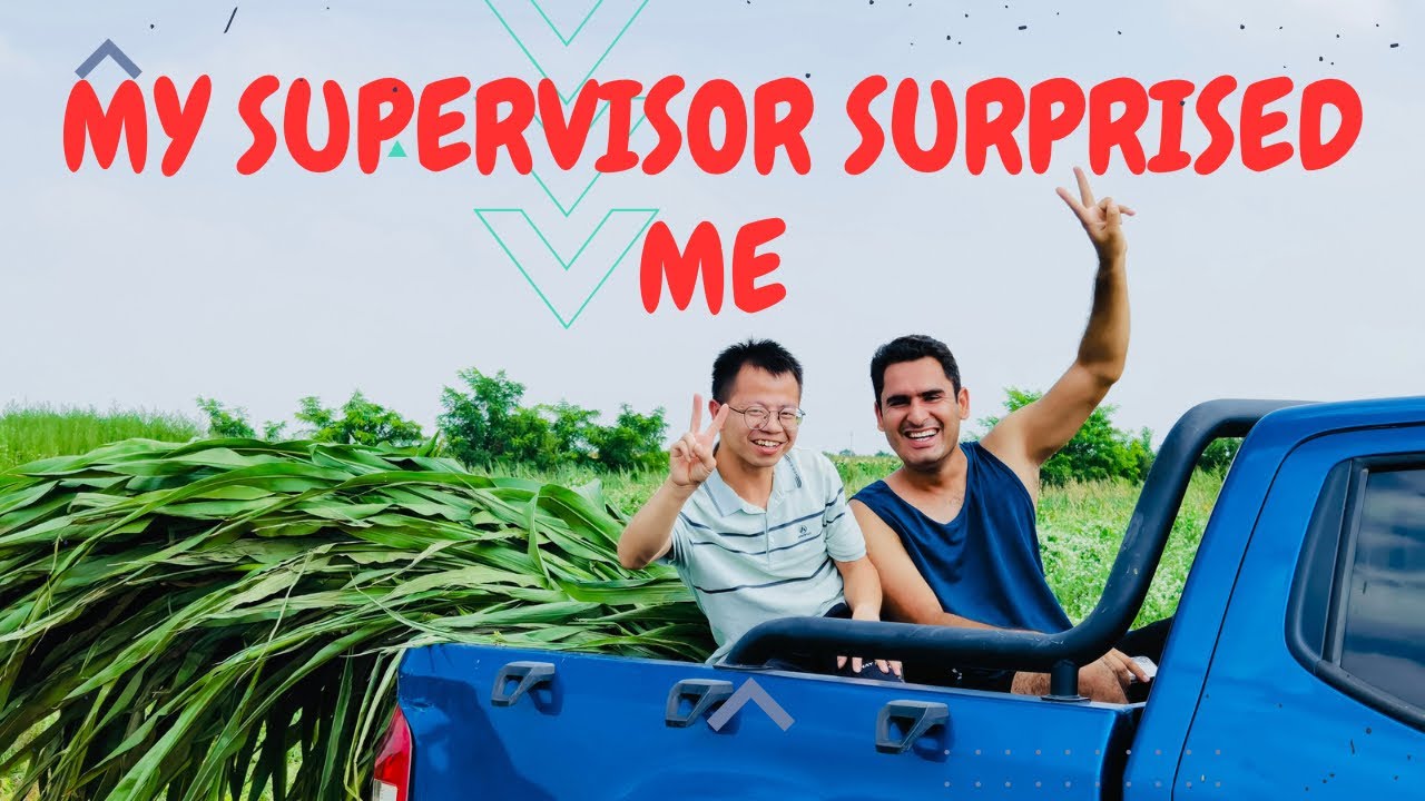 My Supervisor Surprised Me | Research Work | Business Trip | China 🇨🇳 ...