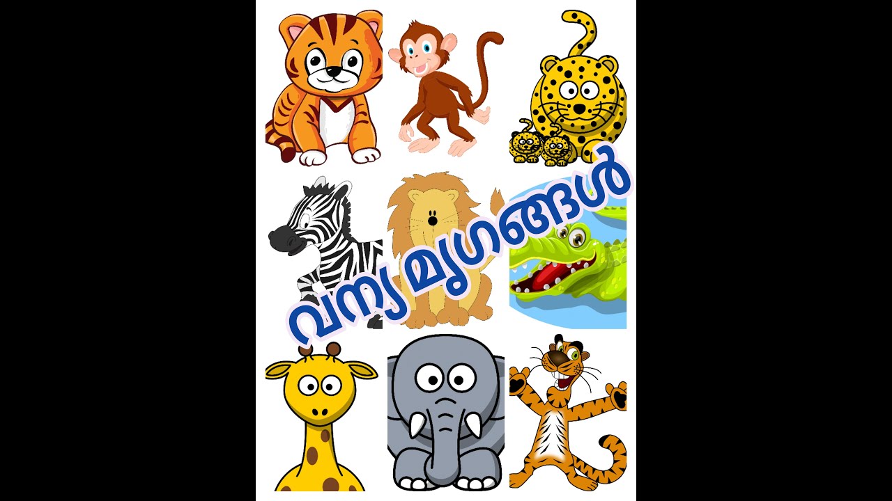 Wild animals names and sounds in Malayalam# Learn malayalam # വന്യ ...