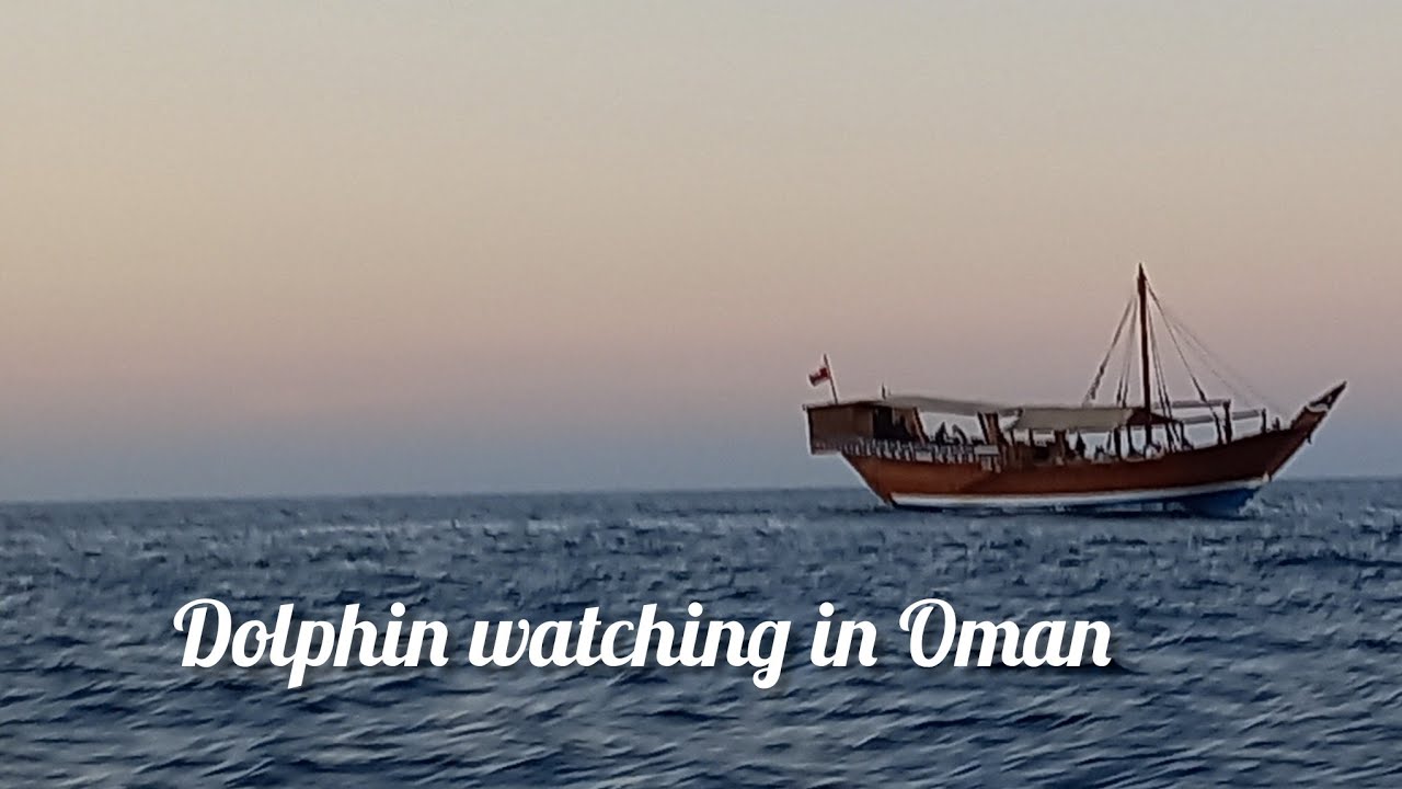 EP: 27 | Dolphin watching Muscat | Dolphin watching cruise Oman ...