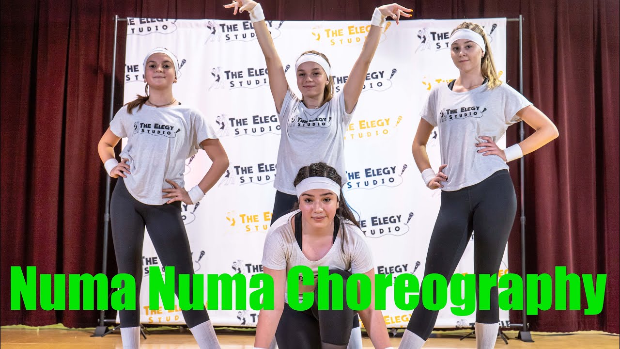 Numa Numa 2-Dan Balan (feat.Marley Waters)/The Elegy Studio-Group Dance ...