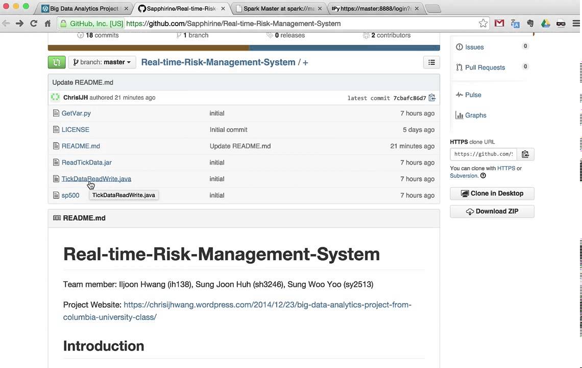 Real Time Risk Management System - YouTube