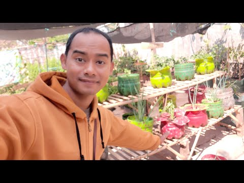 ARTIS MAGETAN BERKEBUN TANAMAN KELOMPOK TANI WANITA SUKOWINANGUN
