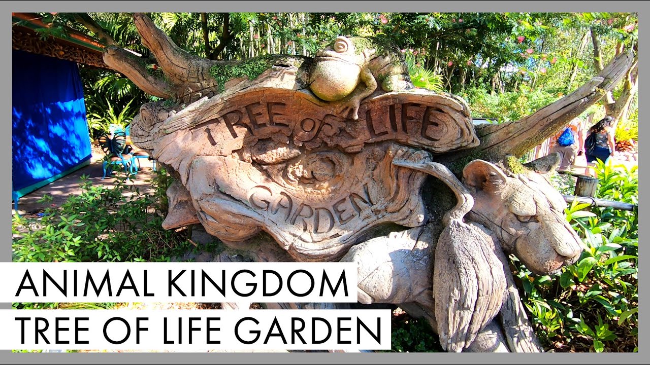 Hidden Gem of Animal Kingdom: The Tree of Life Garden Walkthrough ...