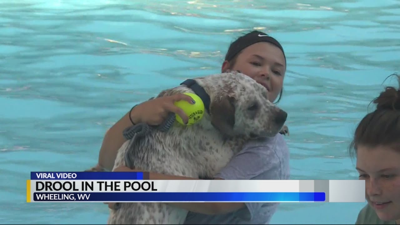 Drool in the pool - YouTube