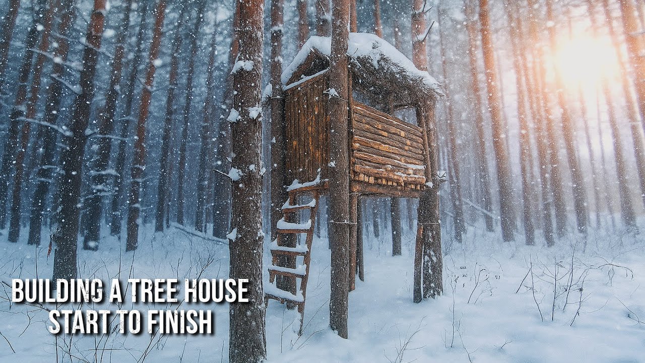 Building a tree house in harsh weather conditions. From start to finish ...