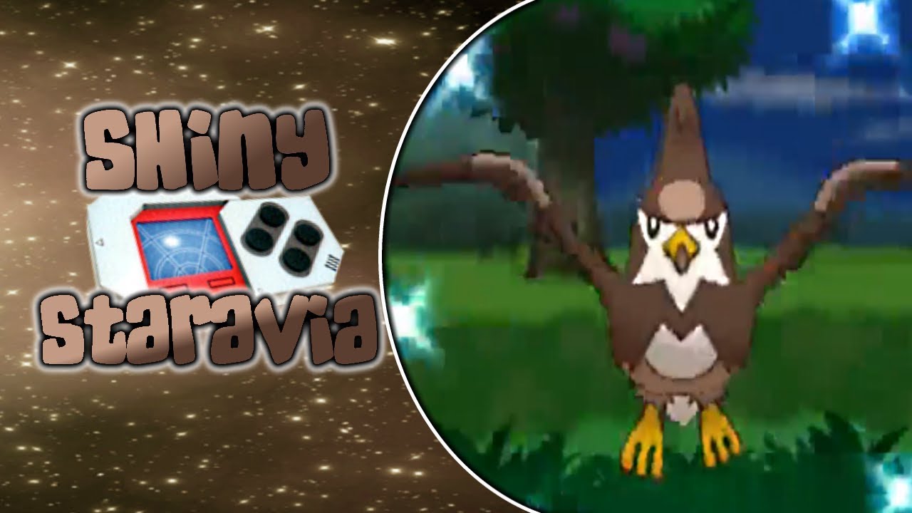 [LIVE] Shiny Staravia after a 15 Pokeradar Chain! - YouTube