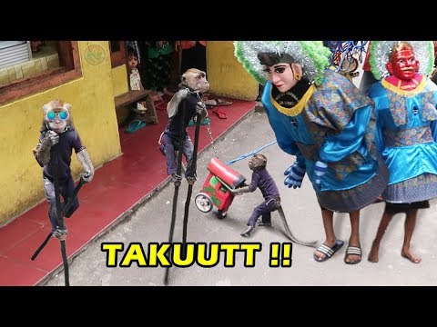 TOPENG MONYET Takut ONDEL-ONDEL 🙉 Funny Monkey Attraction ~ Ondel-Ondel Nonton Topeng Monyet LUCU !!