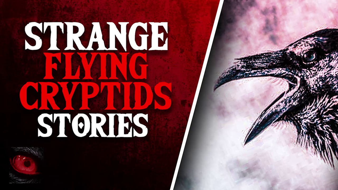 STRANGE FLYING CREATURES - 3 WEIRD FLYING CRYPTID SIGHTINGS - What ...