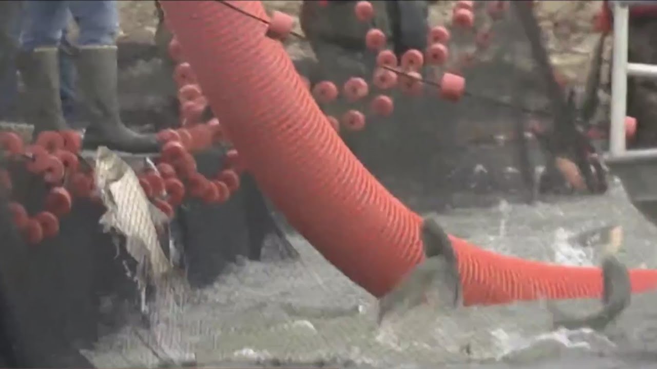 State, federal officials highlight Asian Carp removal method at ...