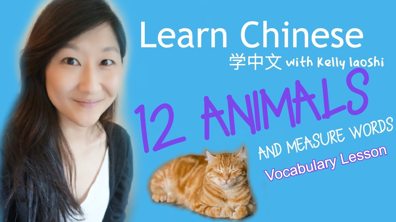 Learn Chinese: 12 Basic Animals with measure words, Mandarin for ...