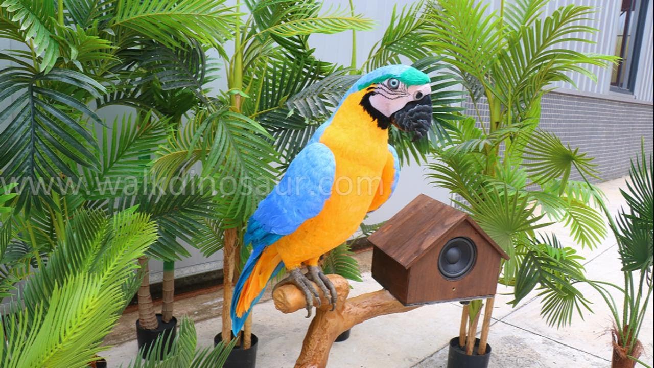Amusement Animatronic Bird Lifelike Parrot Robot - YouTube