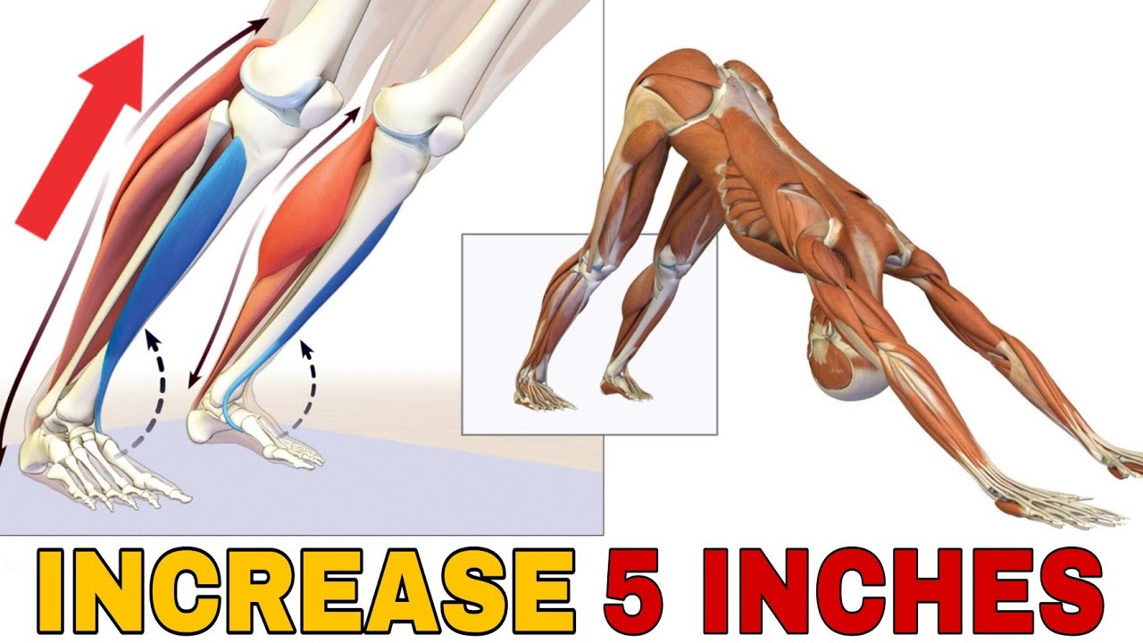ONLY 3 EXERCISE TO INCREASE HEIGHT IN 1 WEEK | HOW INCREASE HEIGHT ...