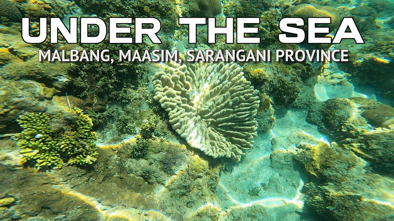 UNDER THE SEA | MALBANG, MAASIM, SARANGANI PROVINCE(PHILIPPINES)🇵🇭 ...
