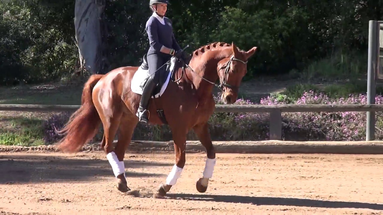 Fiodore 18th August 2015. - YouTube