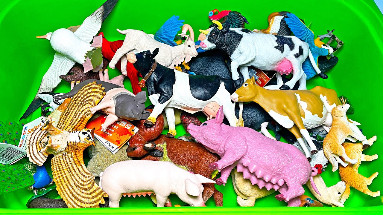 New Farm Animals Collection - Cow, Pig, Sow, Piglet, Goat, Lamb, Sheep ...
