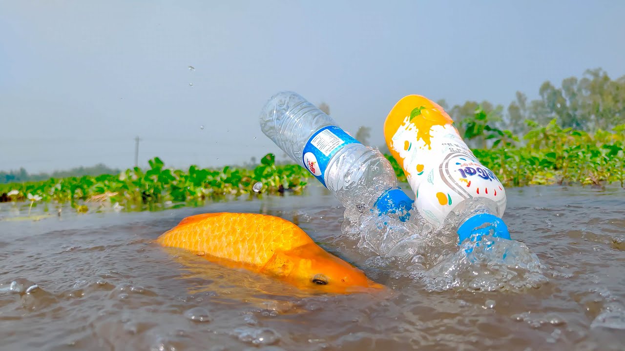 Unique Fishing trap-Smart Fishing Catching By Plastic Bottle Hook ...